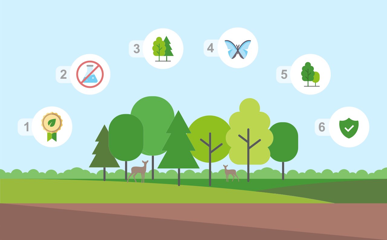 How we reward you for investing in sustainable forestry | EcoTree