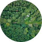 Plant trees and help us take on climate change | EcoTree